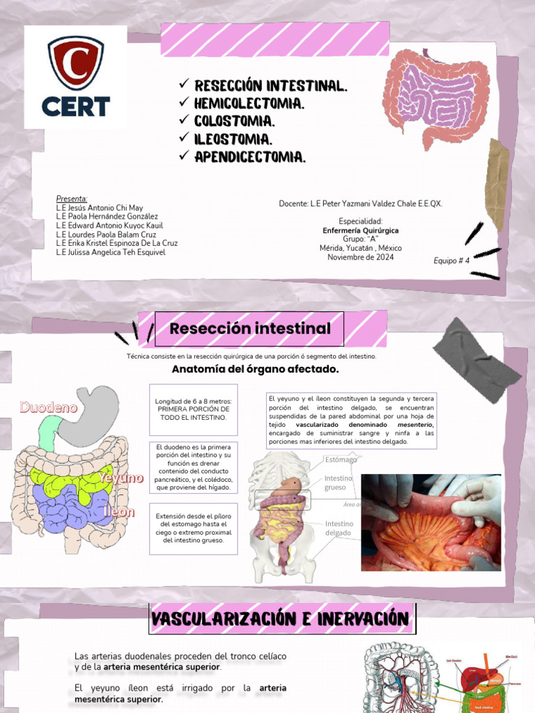 Técnicas de Resección Intestinal Quirúrgica | PDF | Intestino grueso ...