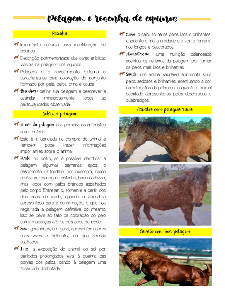 Pelagem e resenha de equinos | PDF | Cavalos | Equus (gênero)