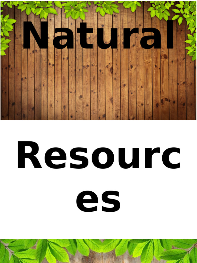 Natural Resources | PDF