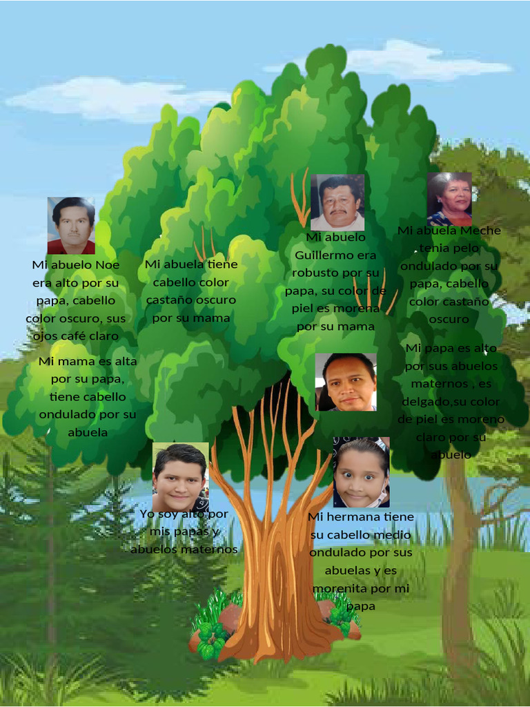 arbol | PDF