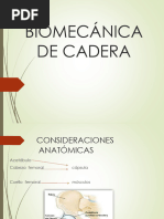 Articulación Coxofemoral Cuadro Integrador | PDF | Rodilla | Cadera