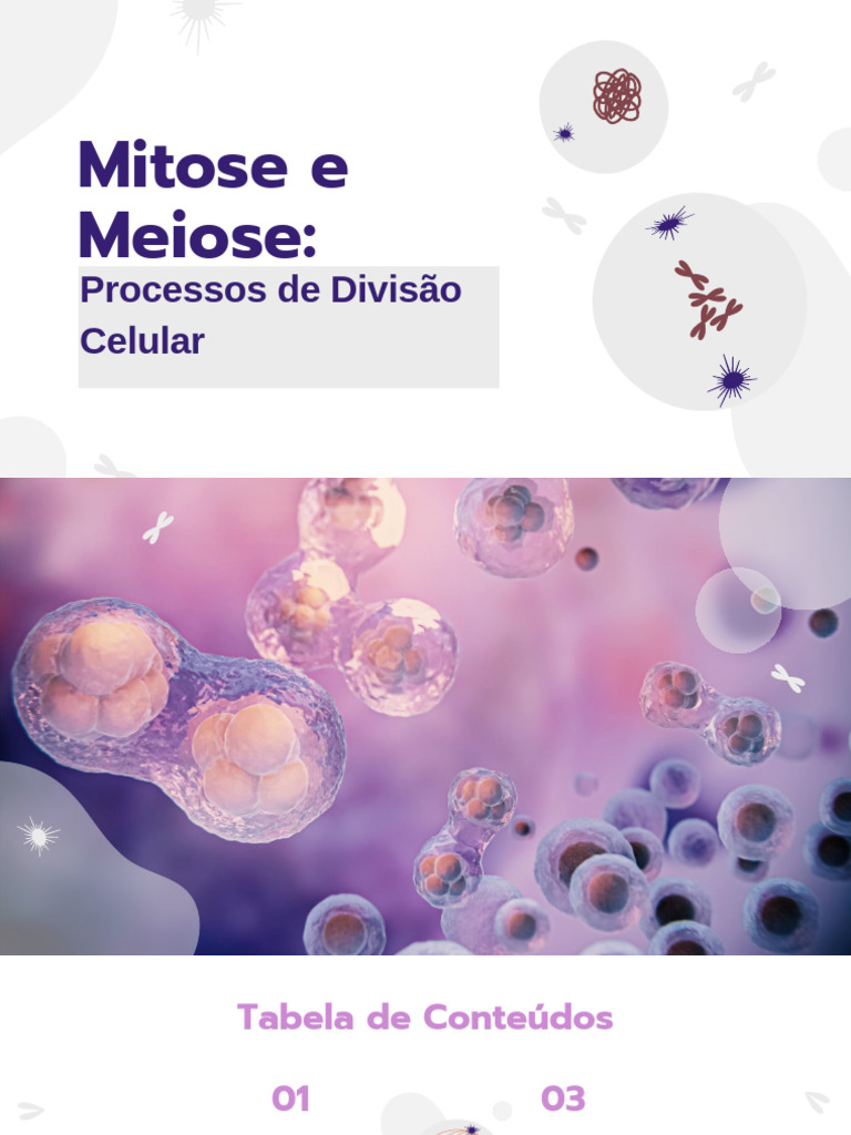 Divisão Celular - Biologia - PPTX - 20250212 - 222318 - 0000 | PDF | Meiose | Mitose