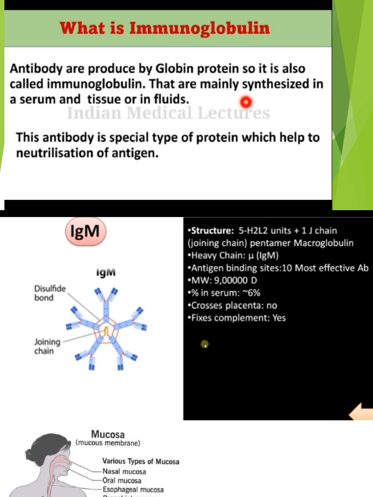 Antibodies Ppt | PDF