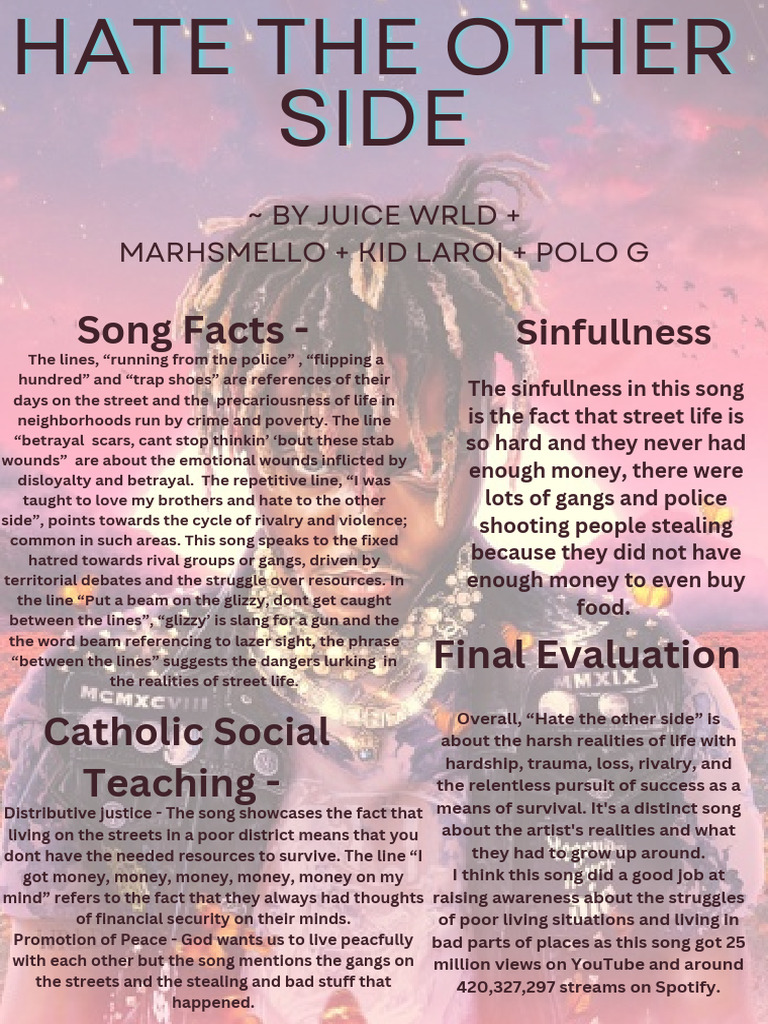 Hate the other side | PDF