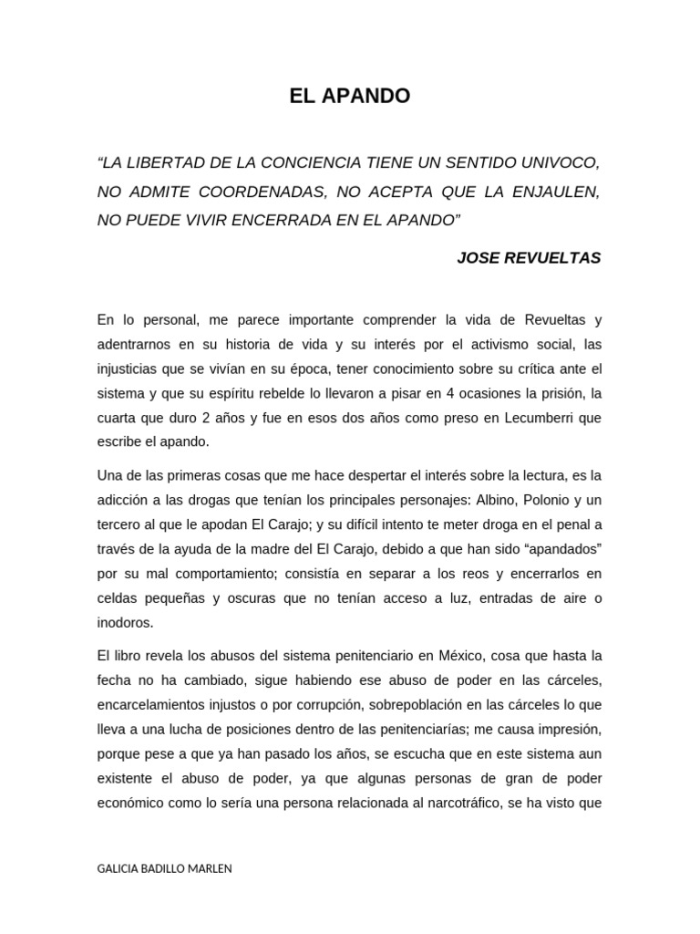 El Apando Ensayo | PDF | Prisión