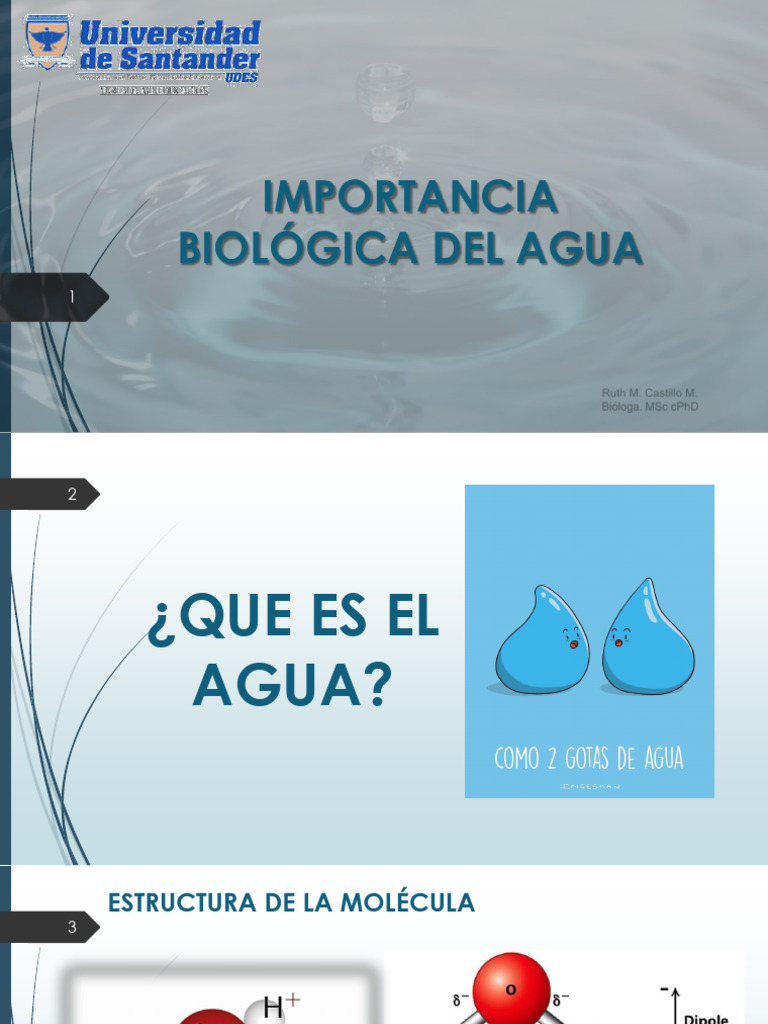 Clase 2.biologia | PDF | Propiedades del agua | Agua