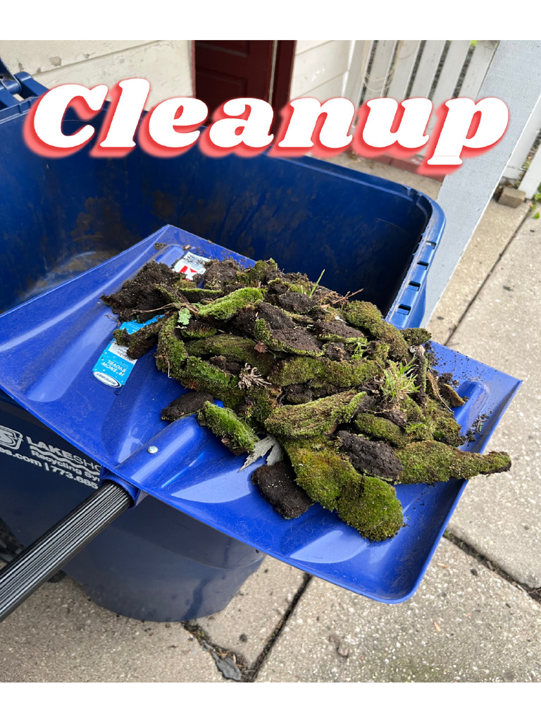 Cleanup | PDF