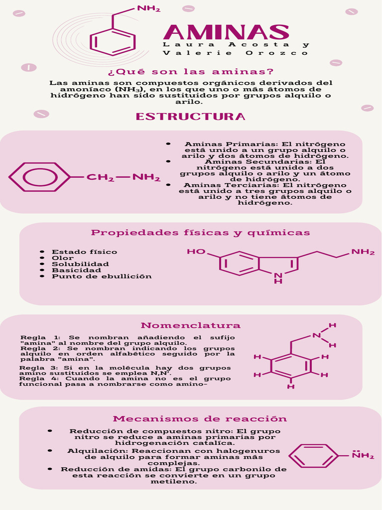 Infografía Historia de La Regla Del Octeto Química Ilustrativo Magenta | PDF