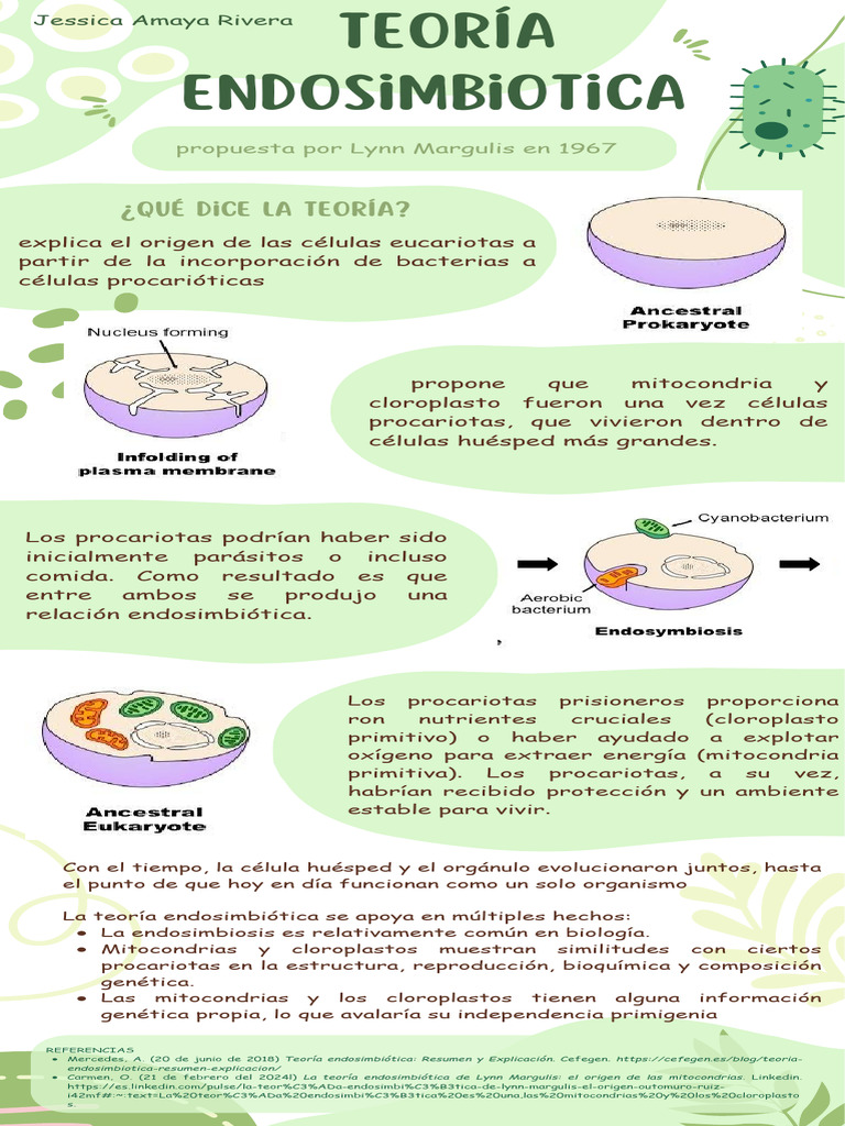Teoría endosimbiótica de Margulis | PDF | Biología Celular) | Naturaleza