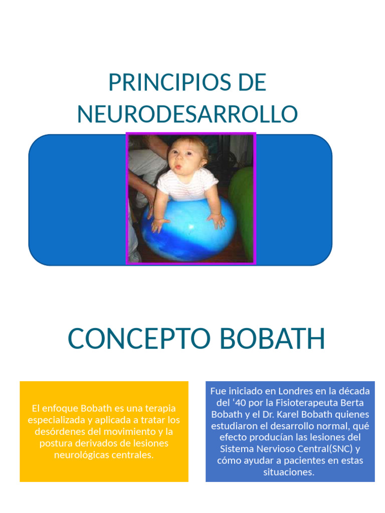 Neurodesarrollo Bobath 2024 | PDF | Neurociencia | Especialidades Medicas