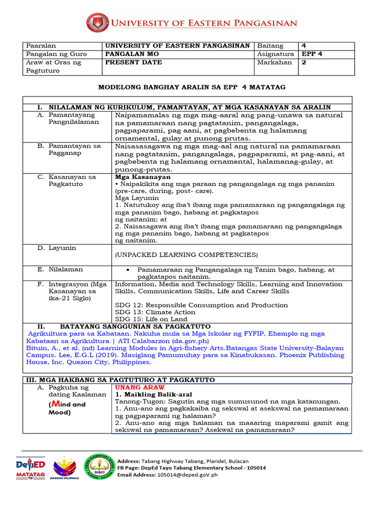 Modelong Banghay Aralin Sa Epp4 | PDF