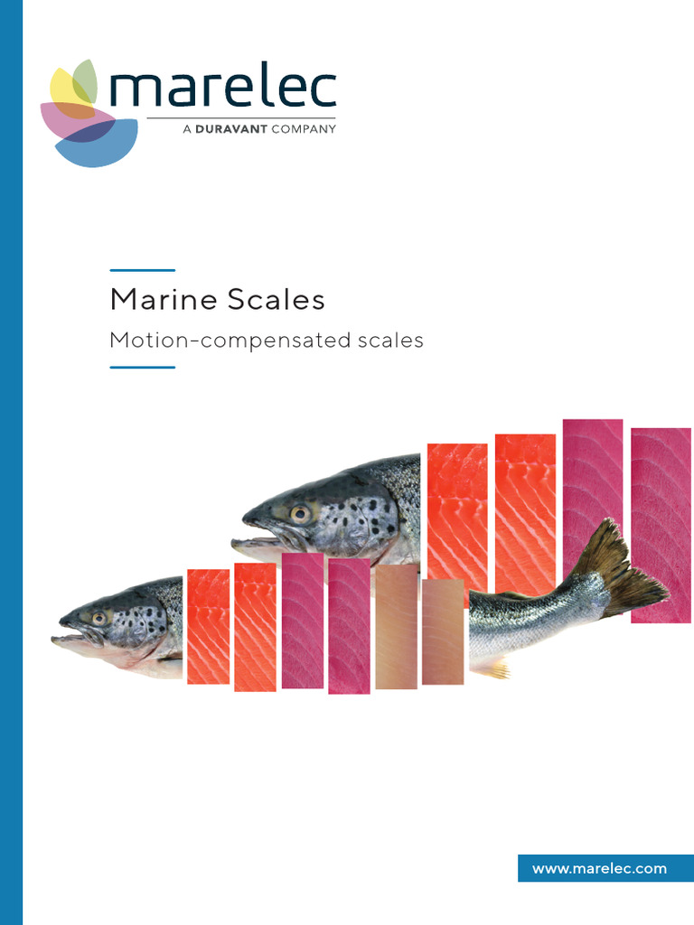 Marine Weighing Solutions Guide | PDF | Touchscreen | Printer (Computing)