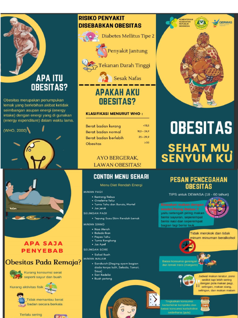 Leaflead OBESITAS | PDF