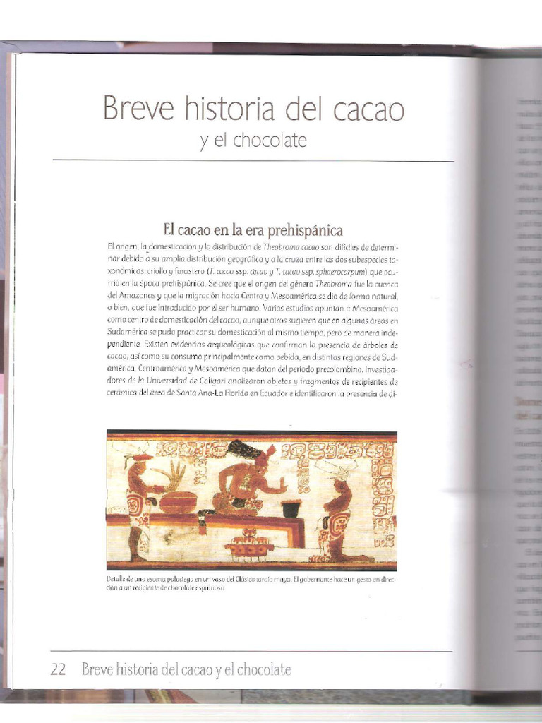 Historia Del Chocolate | PDF