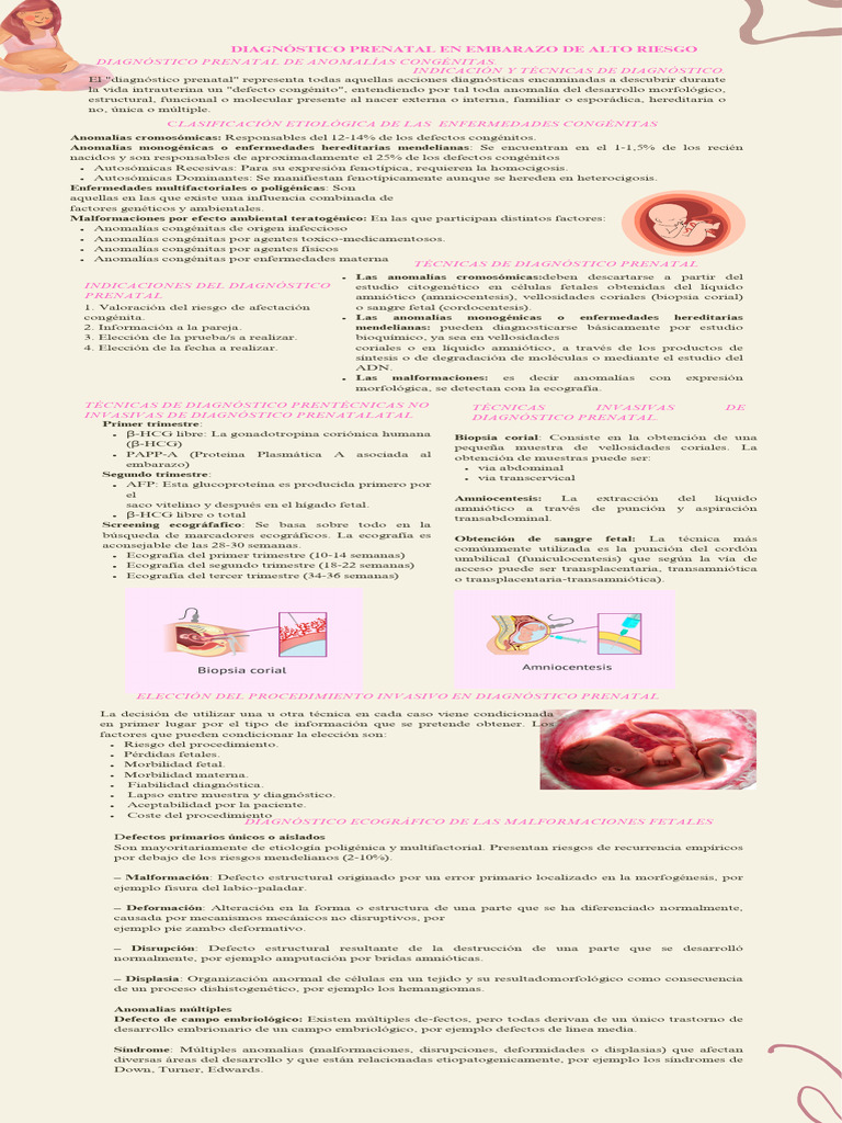 Infografía Signos de Embarazo Ilustrado Elegante Sencillo Rosa Crema ...