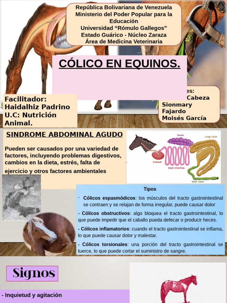 COLICO - EQUINO - Presentacion Unerg | PDF | Especialidades Medicas ...