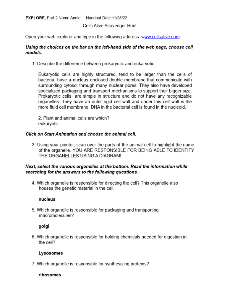 Cell Organelle Scavenger Hunt Cells Alive | PDF | Cell (Biology ...
