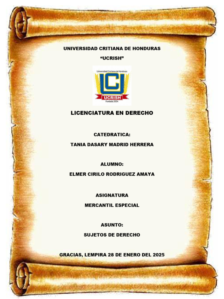 Amaya Elmer | PDF | Sociedad de responsabilidad limitada | Comercio