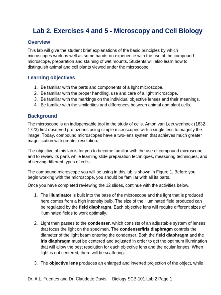 Lab-2-Exercises-4-and-5-Microscopy-and-Cell- In Person | PDF | Microscope | Angular Resolution