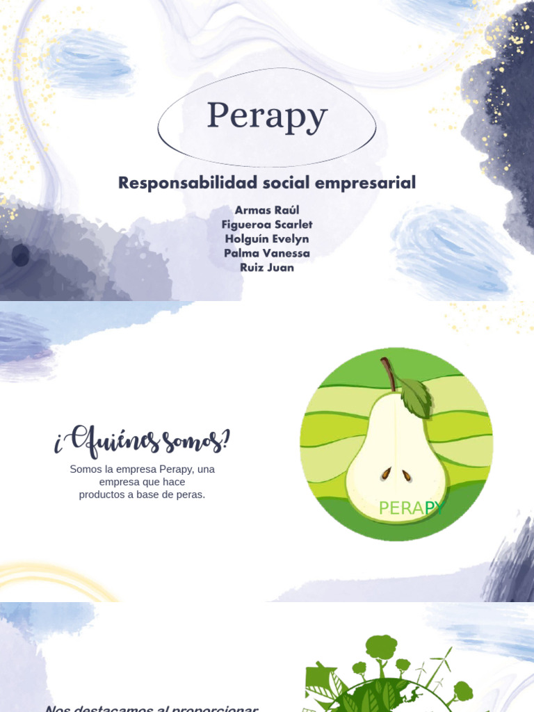 Diapositivas RSE | PDF