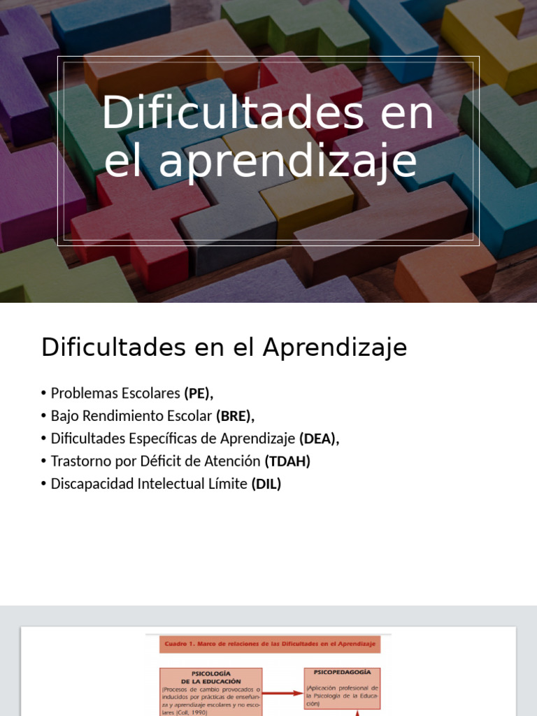 1 Dificultades en El Aprendizaje Unificación de Criterios Diagnósticos 09 Marzo | PDF ...