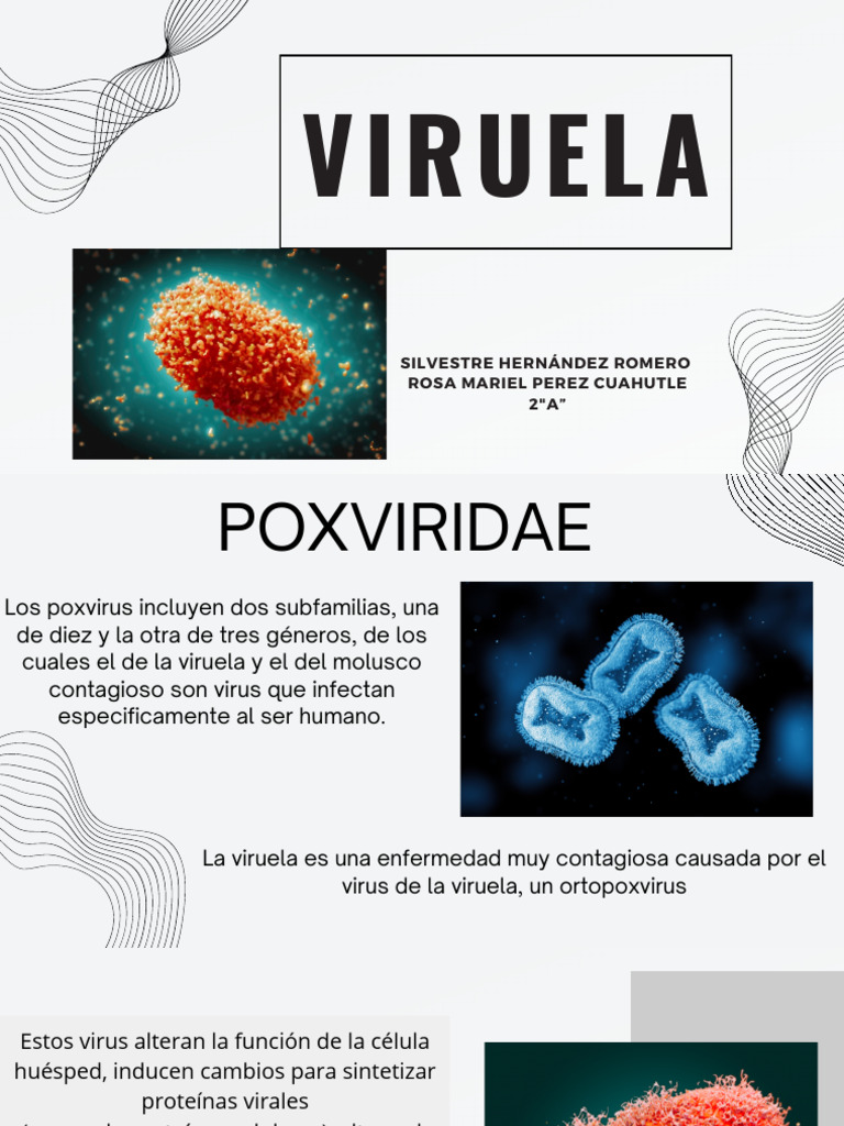 Viruela: Tipos, síntomas y tratamiento | PDF | Virus | Viruela