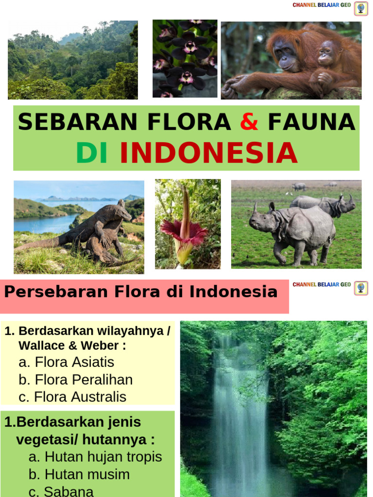 Persebaran Flora dan Fauna Indonesia | PDF