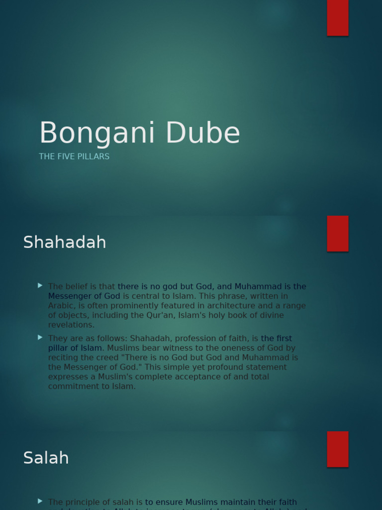 Bongani Dube RS WORK | PDF | Religious Belief And Doctrine | Monotheism