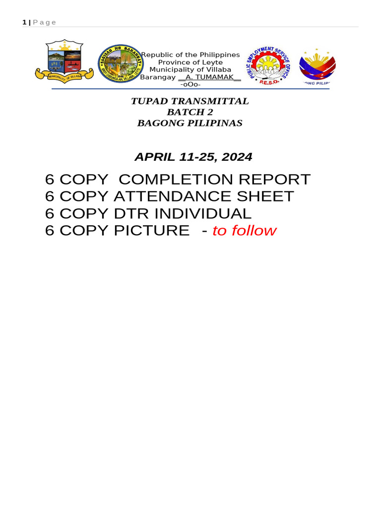 TUPAD Batch 2 Completion Report | PDF