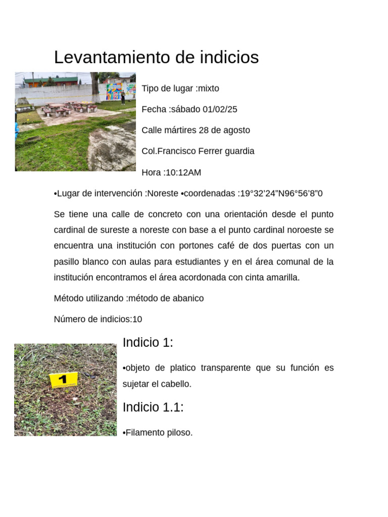 Levantamiento de Indicios | PDF
