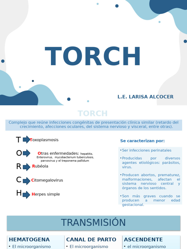 Torch | PDF | Infección | Especialidades Medicas