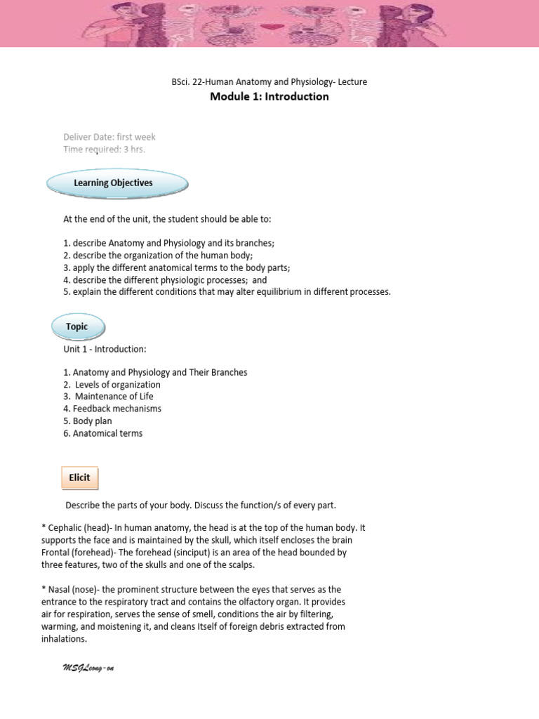 Anatomy Lec Module 1 Talan, Mariah Kayne | PDF | Shoulder | Anatomical ...