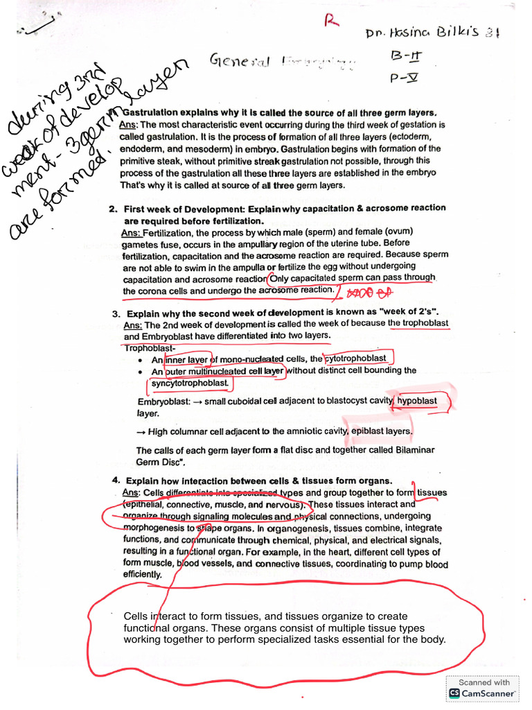 General Embryology 2 | PDF