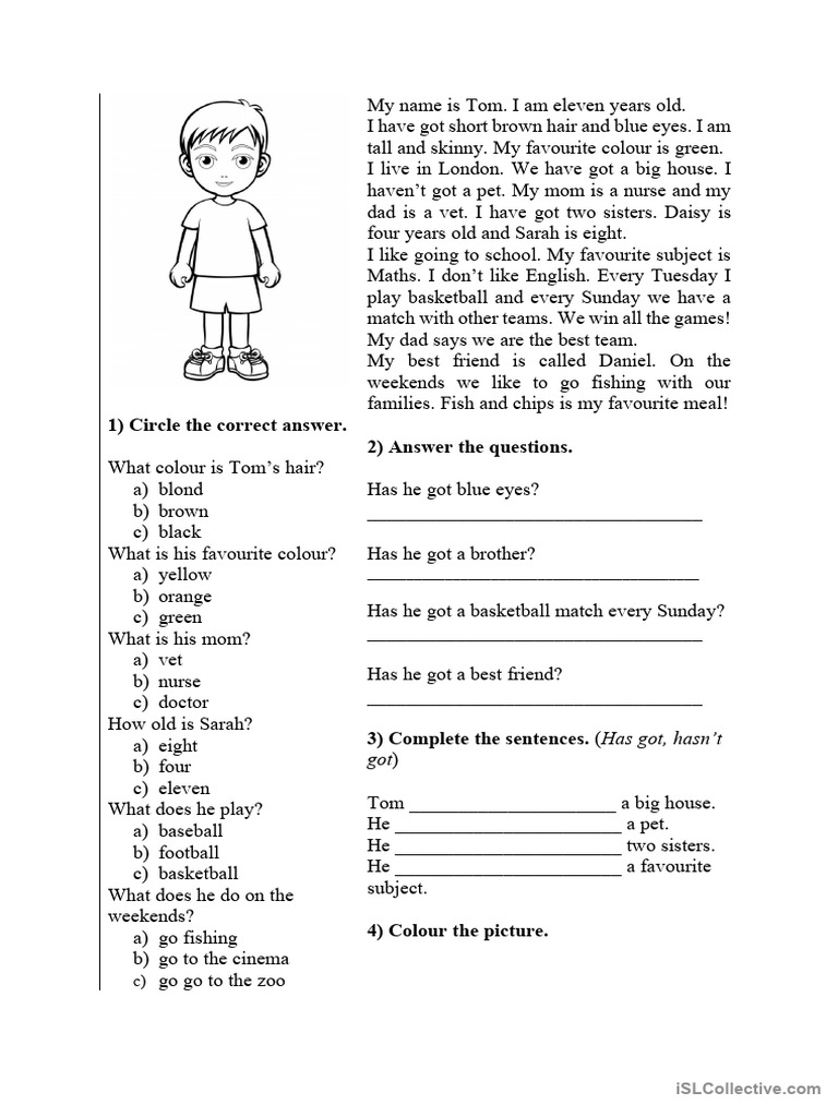 Have Got Reading Comprehension Exercise | PDF