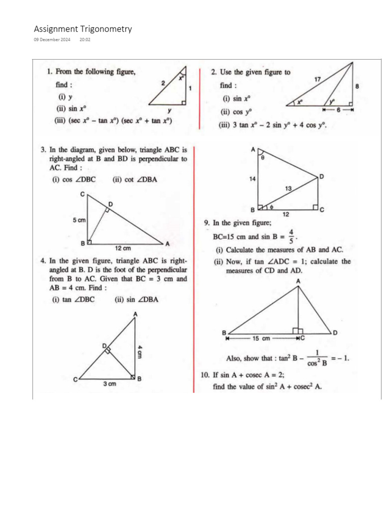Trigonometry Assignment Guide | PDF