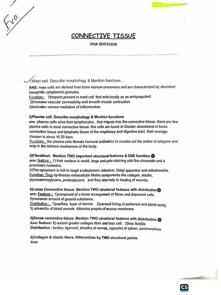 Connective tissue ( Board-2 card question) | PDF