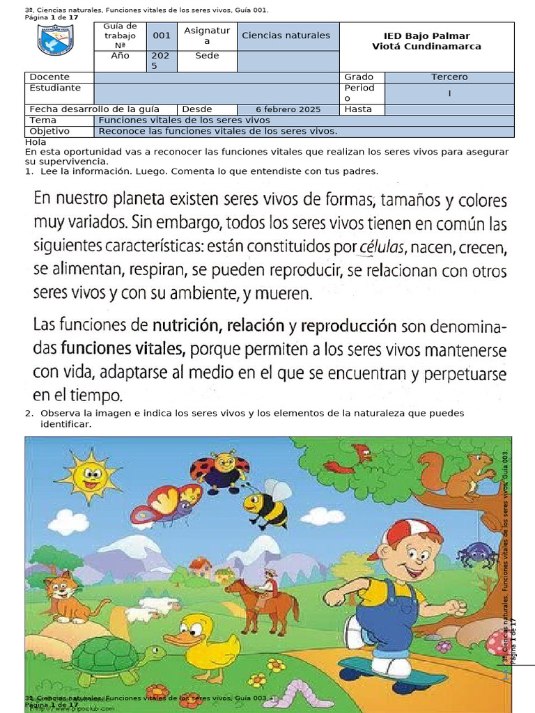 Funciones Vitales Seres Vivos 3º Grado | PDF | Nutrición | Dieta y ...