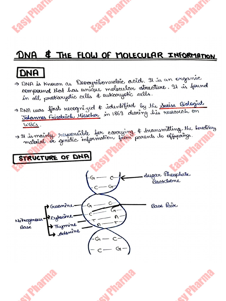 Easy Pharma: Learning Platform Overview | PDF