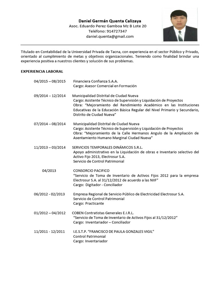 Modelo de Curriculum Vitae | PDF | Contabilidad | Economias