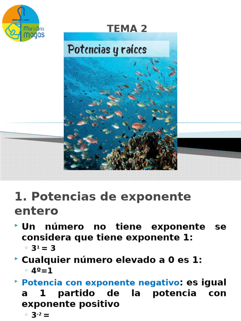 Tema 2 Potencias y Raíces | PDF