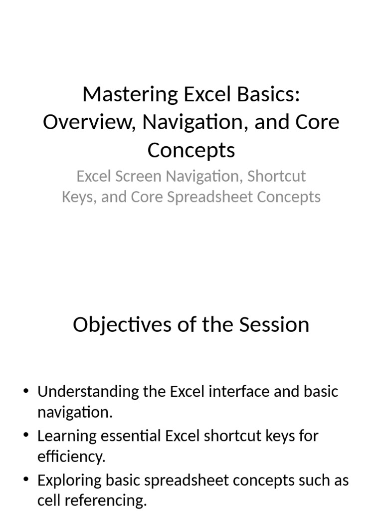 Excel Basics for Beginners | PDF