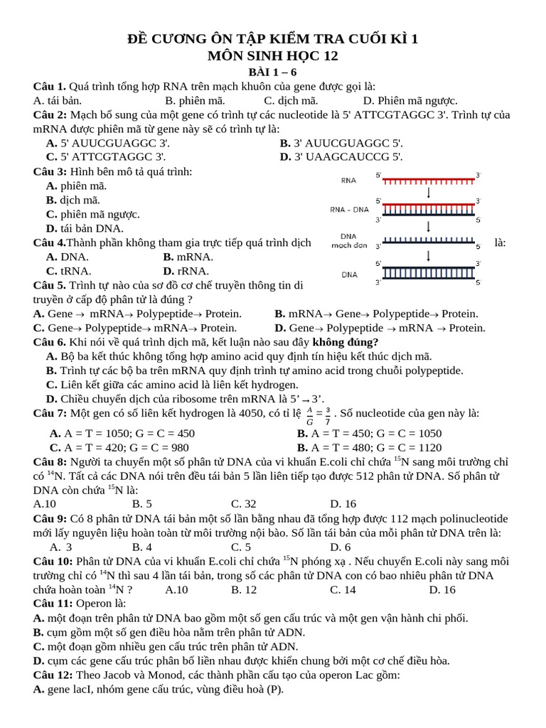 12A2_Đề cương cuối kì 1_Sinh 12_2024-2025 | PDF