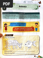 Animals Year 4 | PDF