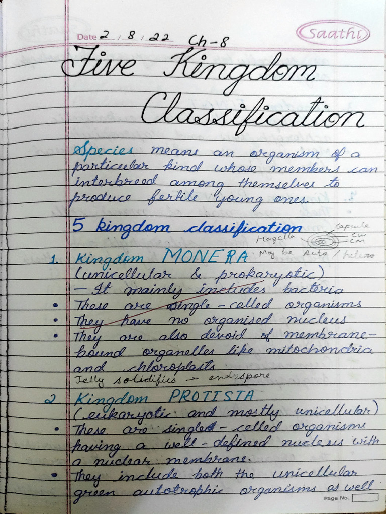 Five Kingdom Classification Overview | PDF | Phyla | Biological ...