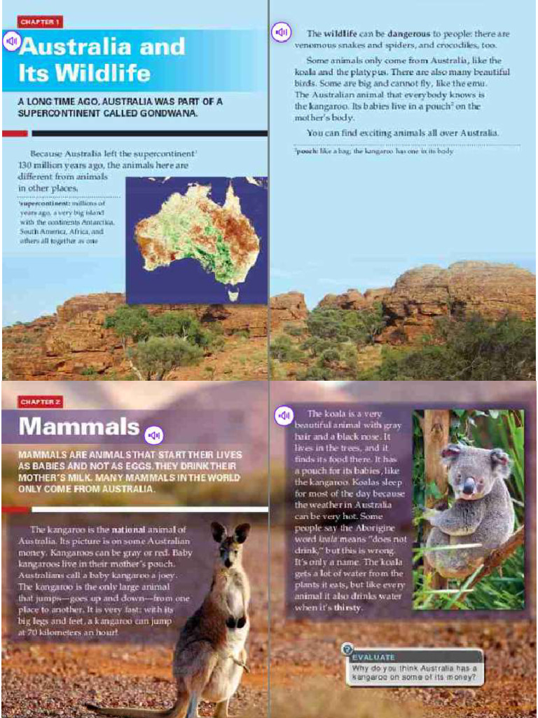 Wild Australia | PDF
