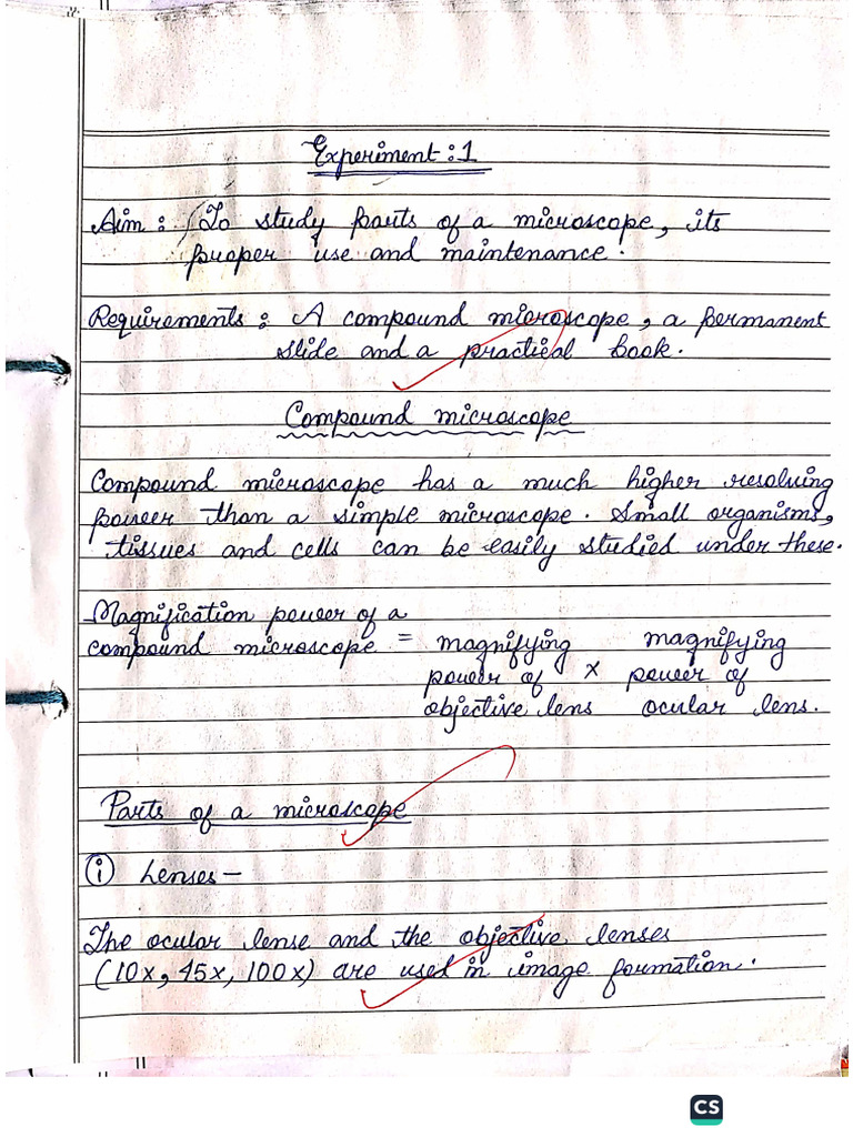 Class 11 Bio Practical | PDF