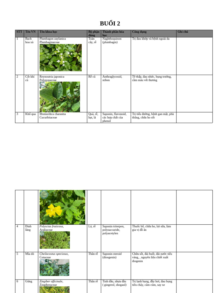 Ôn NTDL buổi 2- có hình | PDF