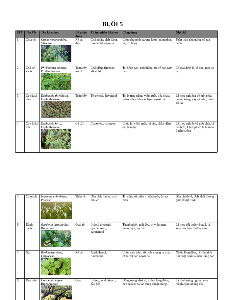 Ôn NTDL Bu I 5 - Có Hình | PDF