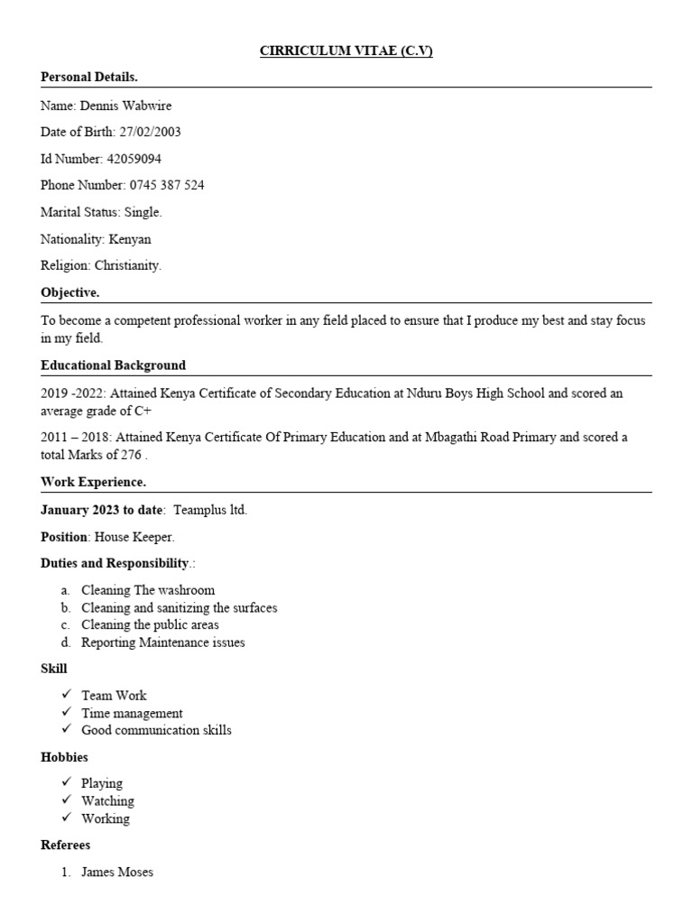 Sample of A CV | PDF