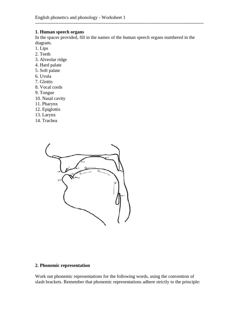 Assignment 1 Na Av | PDF | Phonetics | Human Voice